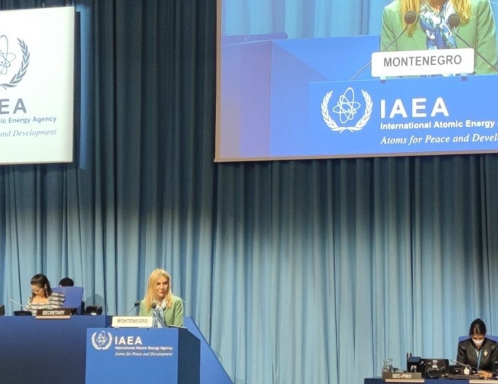Bratić na konferenciji Međunarodne agencije za atomsku energiju