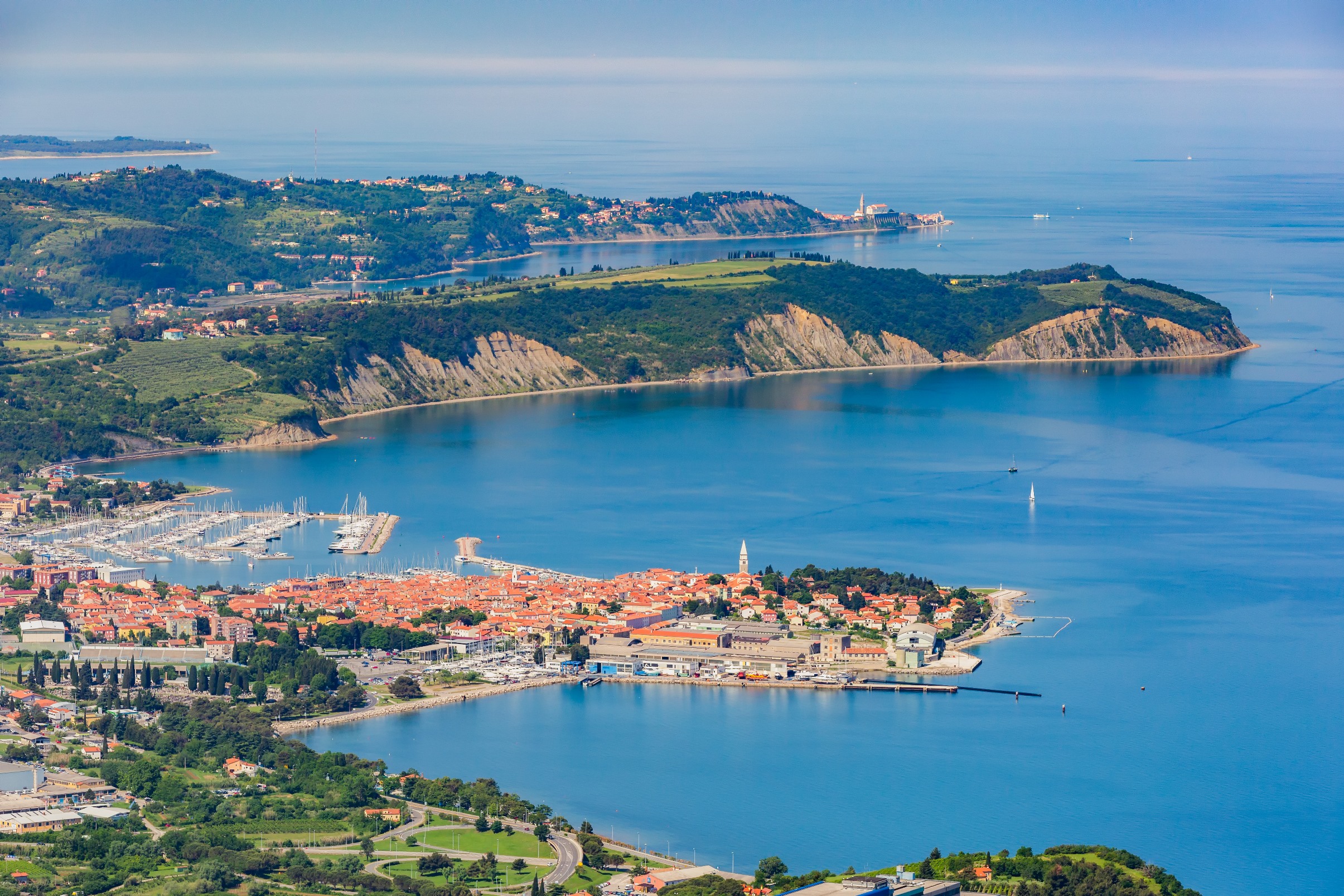 (VIDEO) Desetak kitova snimljeno u Jadranskom moru