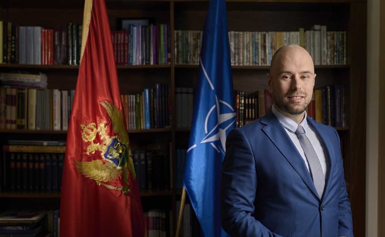 Radulović: Ukoliko normalna Crna Gora želi da preživi, DPS i DF da ...