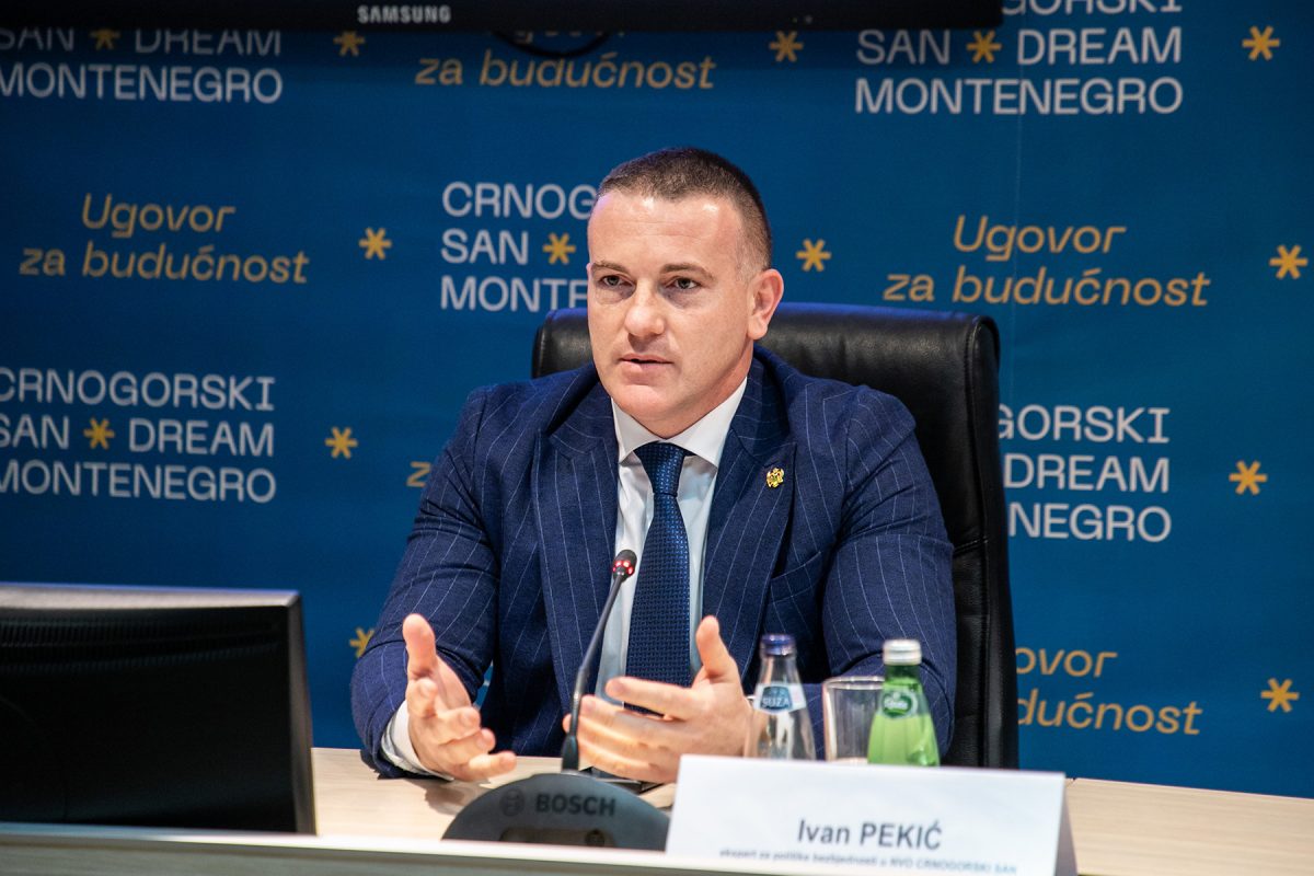 Vujačić: Postupci pojedinih političkih partija nanose štetu Crnoj Gori ...