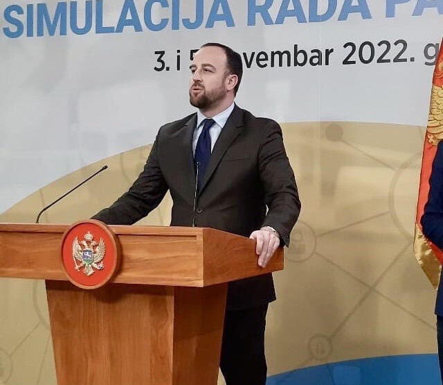 Nikolić: Državni organi prijete dijaspori, podnijećemo krivične prijave ...