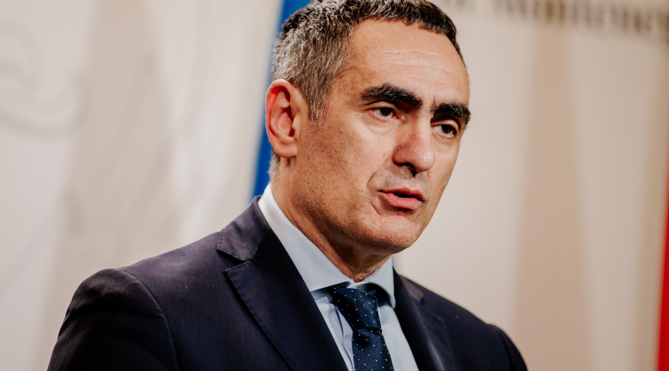 Damjanović: Osim političkog, nema drugog razloga za odlaganje popisa Damjanović: Osim političkog, nema drugog razloga za odlaganje popisa
