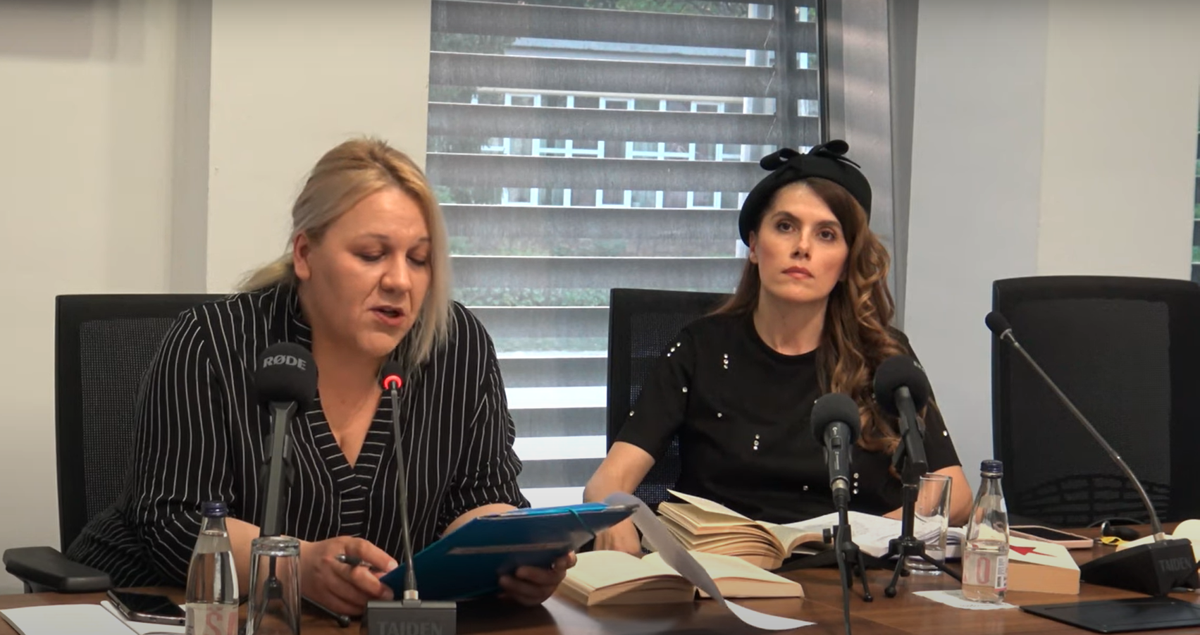 Predavanje Aleksandre Vuković-Kuč o Radovanu Zogoviću: Od prvoga dana ...