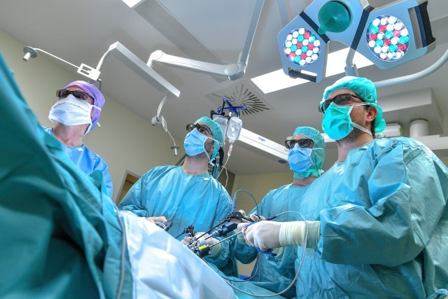 Prvi svinjski bubreg u čovjeku: Je li to budućnost transplantacije?