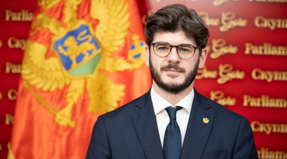 Čarapić: Privatni mediji u stranom vlasništvu upiru svim silama da ...