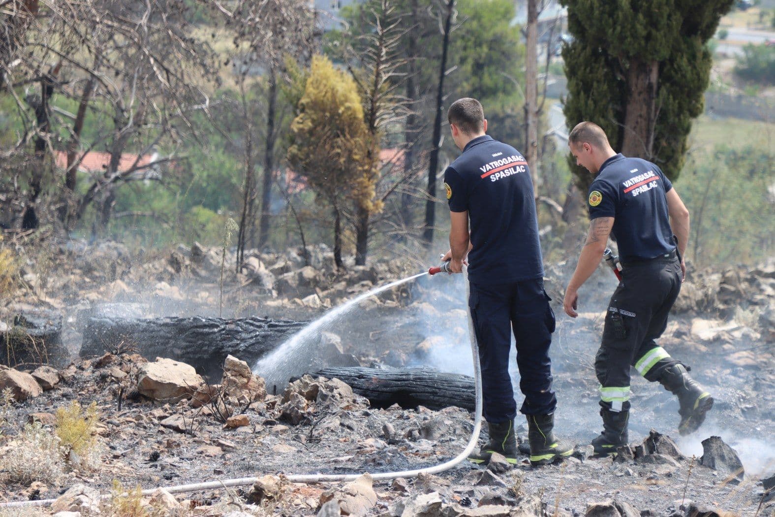 Volontera ne bi falilo, ali ih „teren” ne prepoznaje