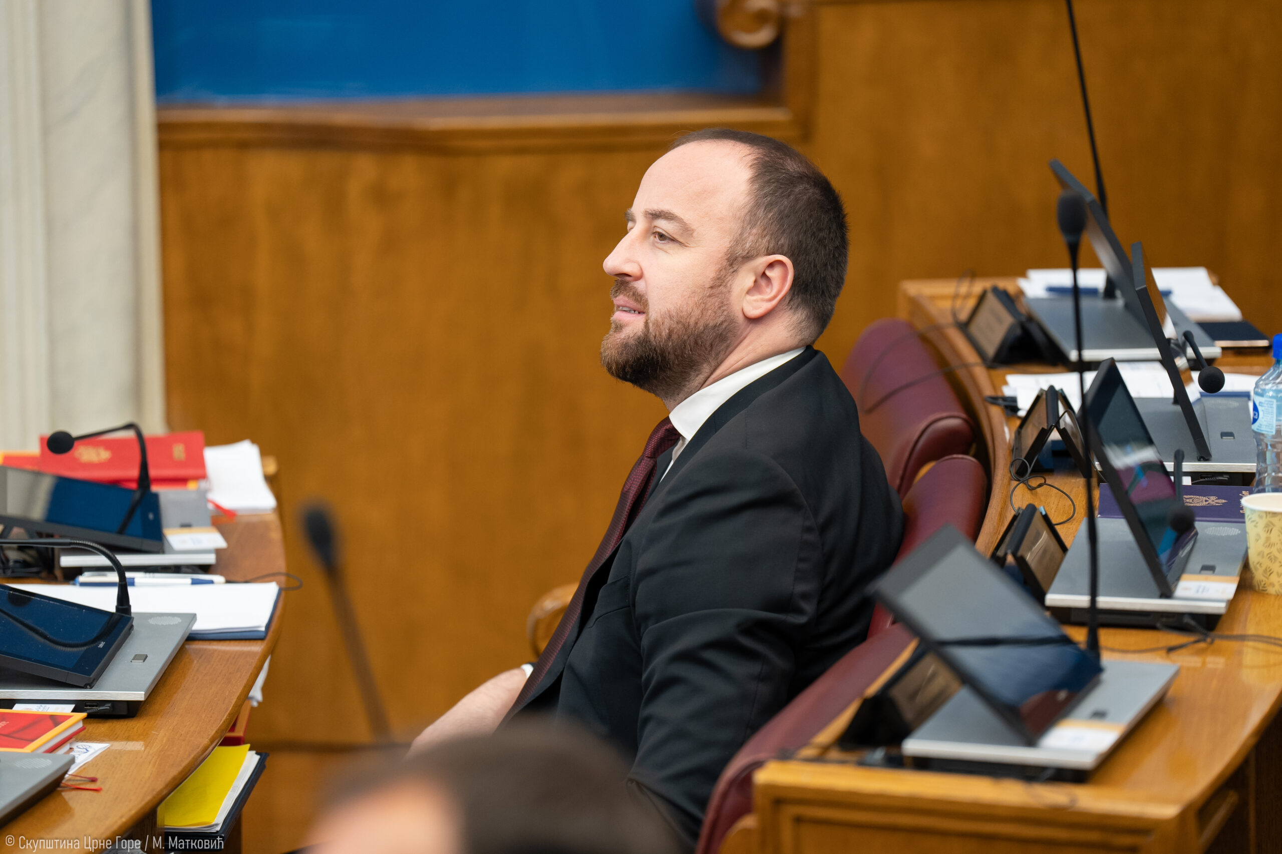 DPS predlaže svog potpredsjednika Skupštine