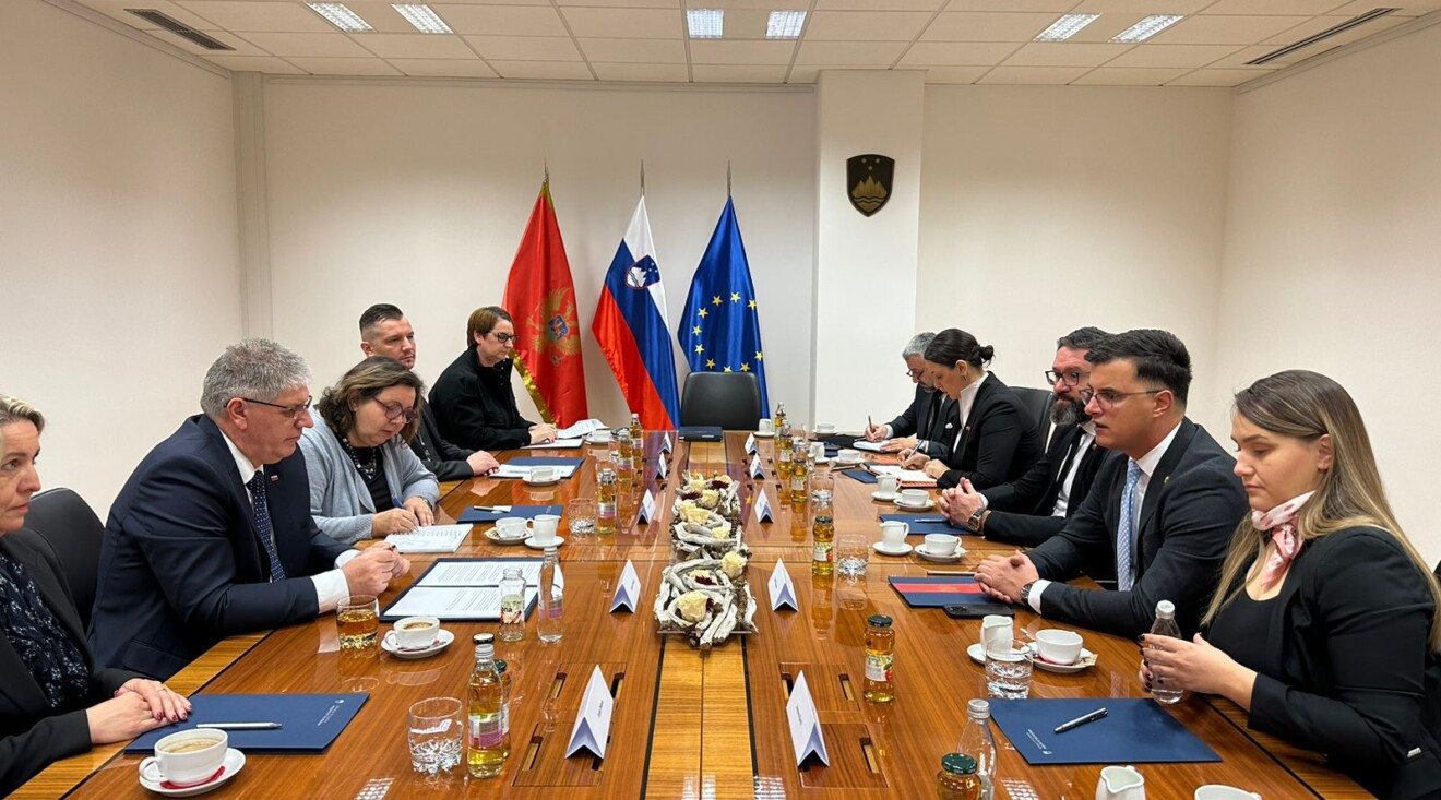 MUP Crne Gore i Slovenije ujedinjeni protiv kriminala, krijumčarenja ...