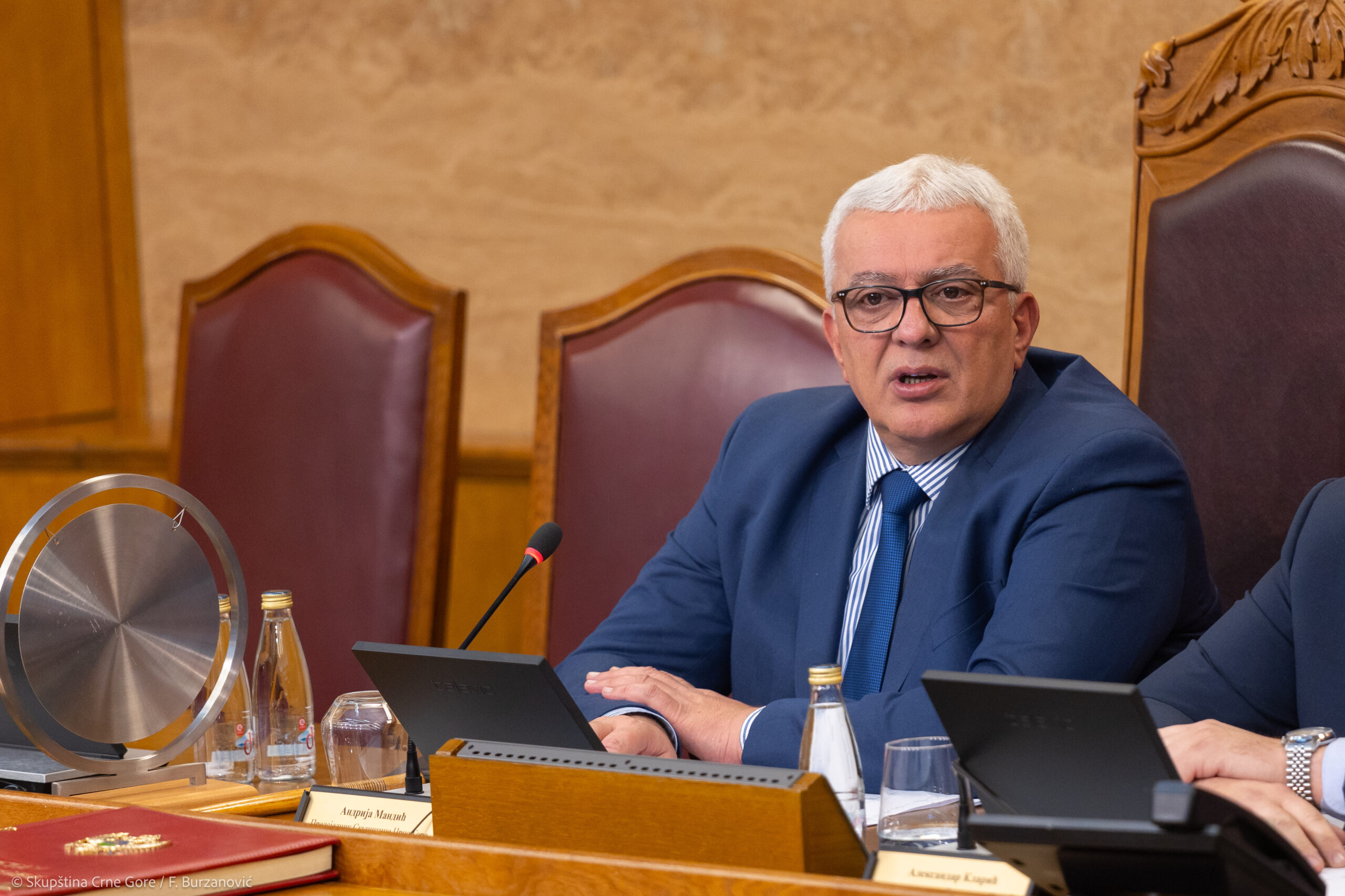 Mandić: Podgorica i dan danas poznata kao Nemanjin grad