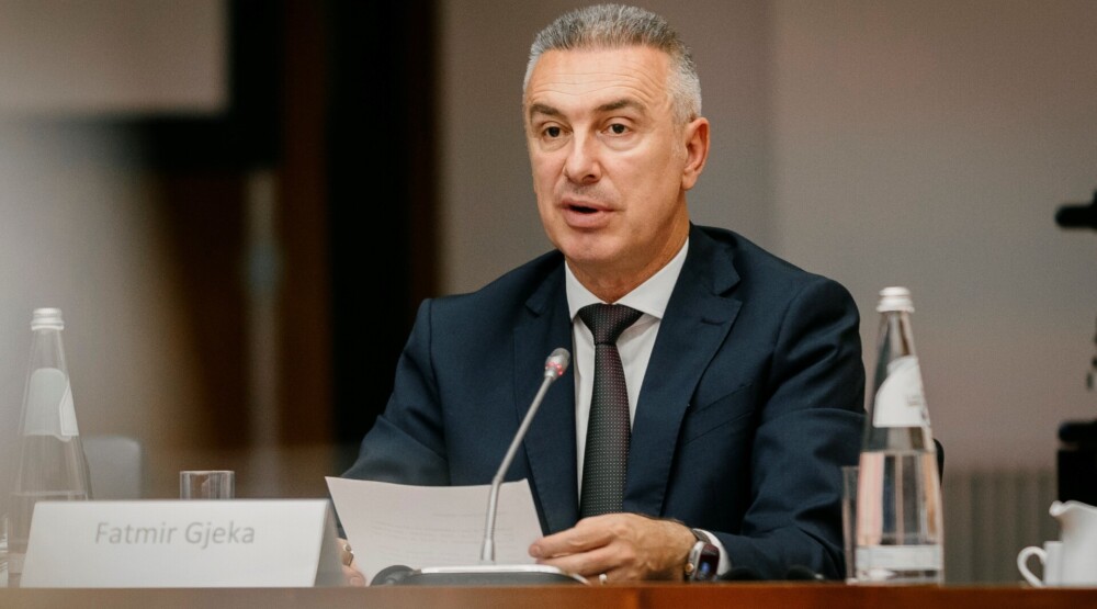 Đeka: Uloga posmatrača u agenciji za temeljna prava EU još jedan krupan ...