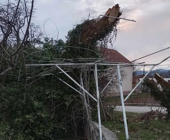 Nikšić: U Dragovoj Luci jak vjetar oborio drvo, u Park šumi Trebjesa više stabala