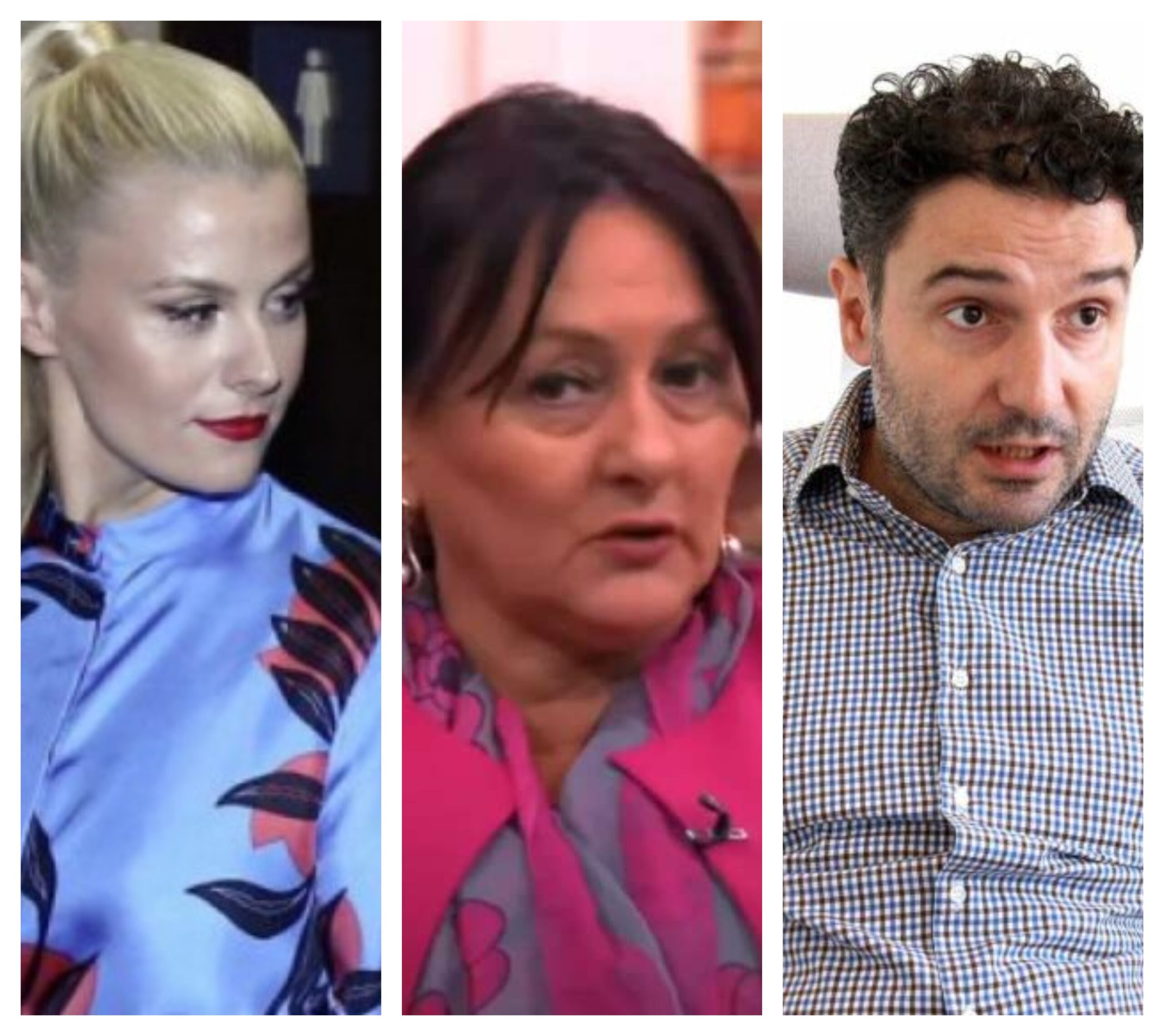 I supruga novog mandatara za sastav Vlade Srbije u biznisu sa partnerkom Ane Brnabić i Džihanom ...