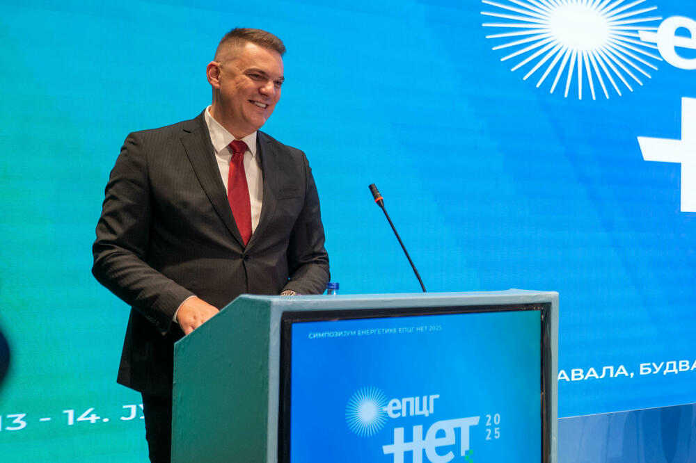Šahmanović: Uspješan prelazak na obnovljive izvore energije pokazuje ...
